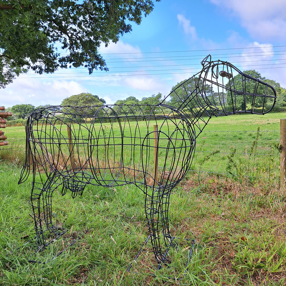 Topiary Cow – Top Topiary