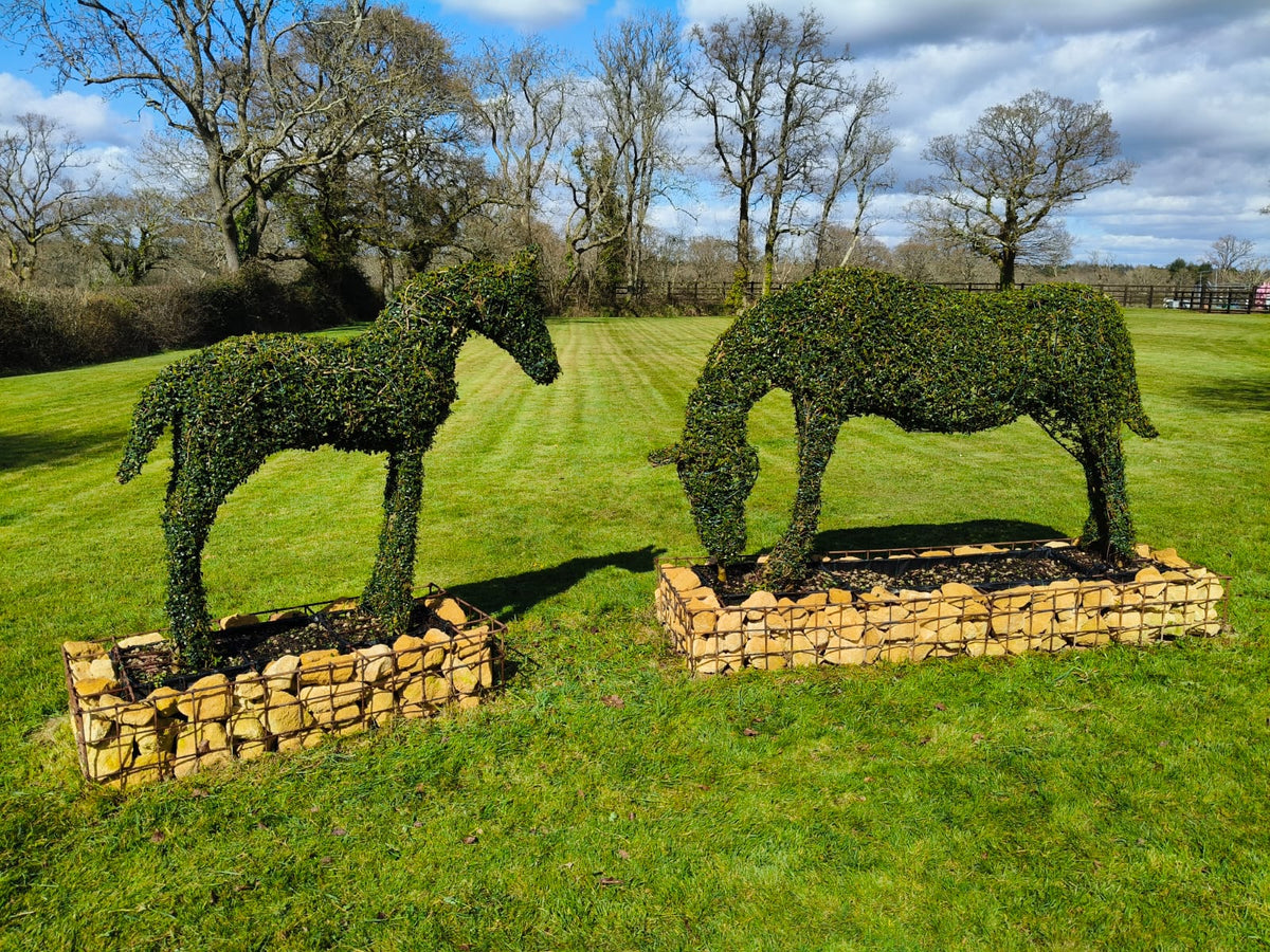 Topiary Pony Grazing - 130cm tall – Top Topiary