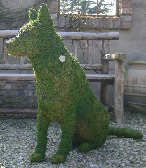 Topiary Dog German Shepherd sitting – Top Topiary