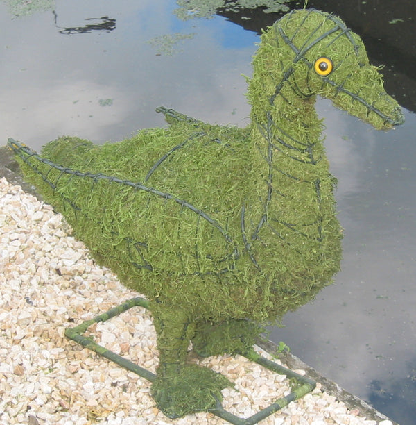 Topiary Duck – Top Topiary