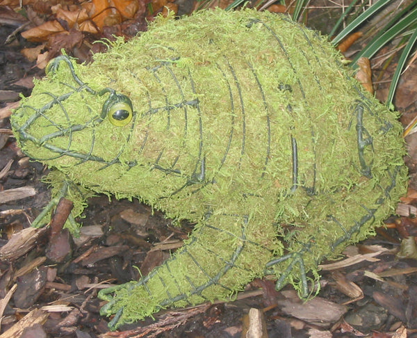 Topiary Frog – Top Topiary