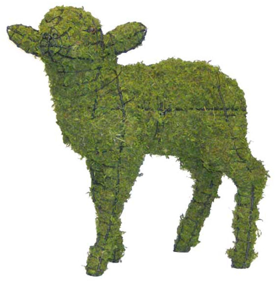 Topiary Lamb head up – Top Topiary