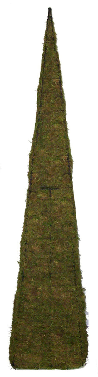 Topiary Pyramid – Top Topiary