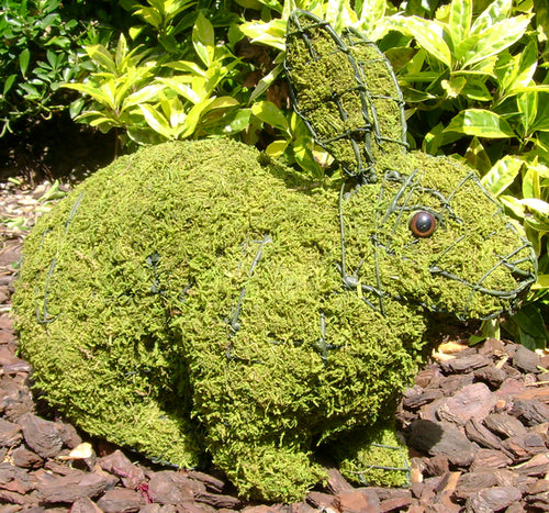 Topiary Rabbit running – Top Topiary