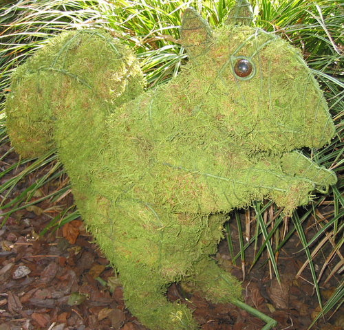 Topiary Squirrel – Top Topiary