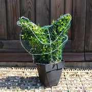 Topiary Frames - Topiary Shapes for Your Garden - Top Topiary