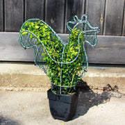 Topiary Frames - Topiary Shapes for Your Garden - Top Topiary
