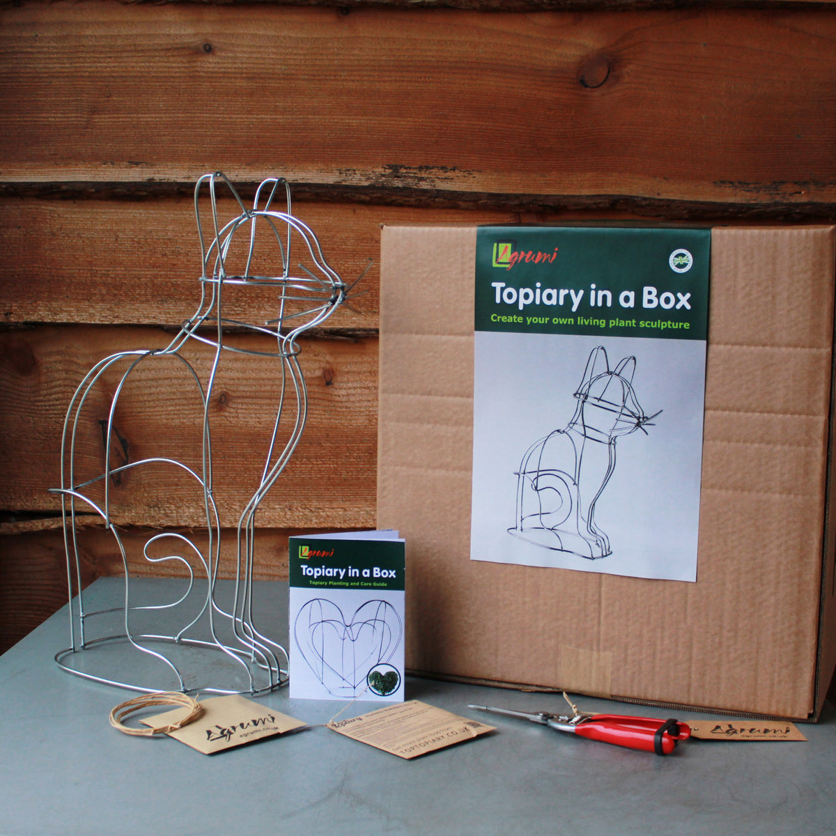 'Topiary in a Box' Kit – Top Topiary