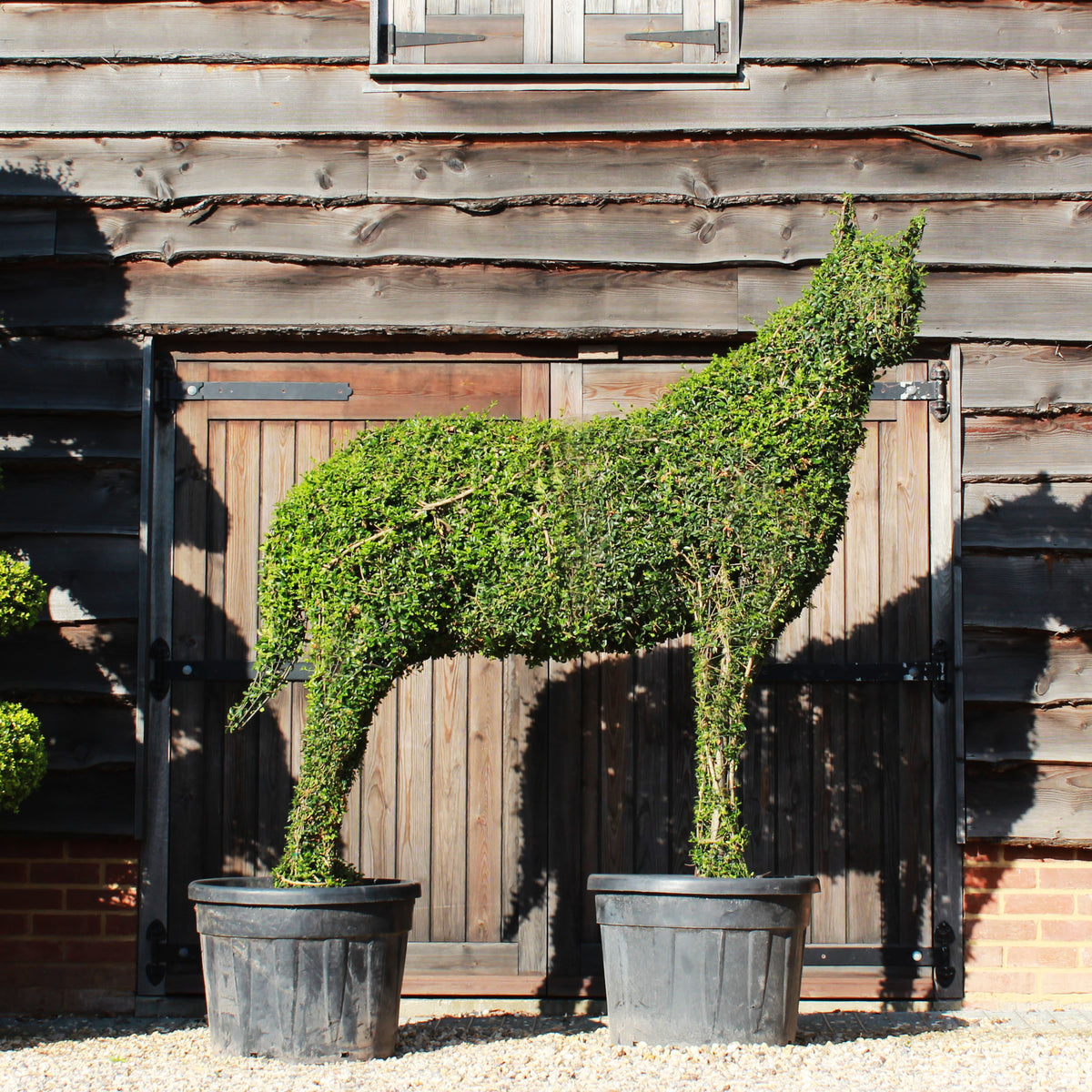 Topiary Pony - 190cm tall – Top Topiary