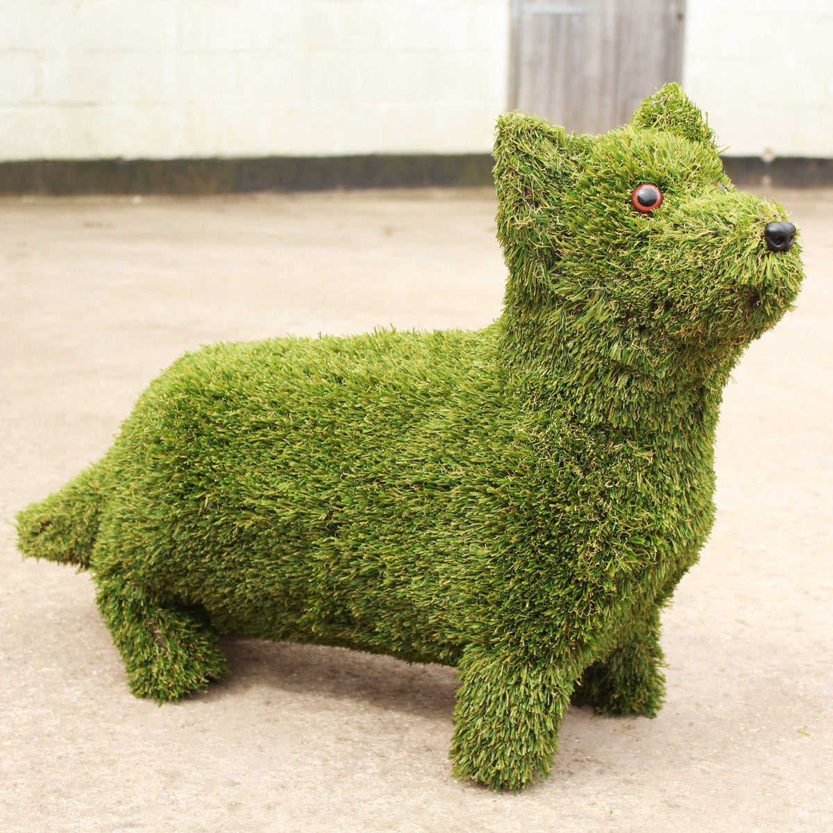 Topiary Dog Corgi – Top Topiary