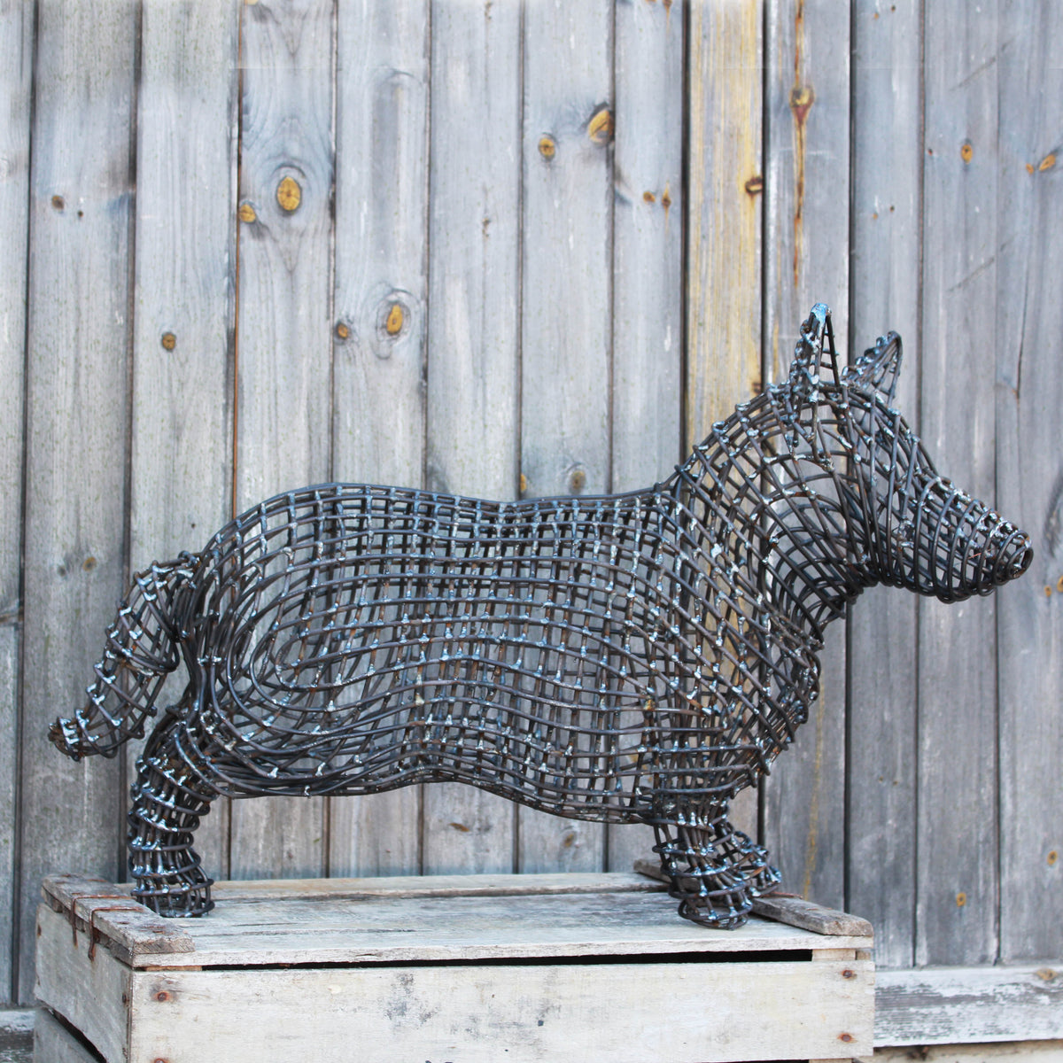 Metal Corgi Sculpture by Luigi Frosini – Top Topiary