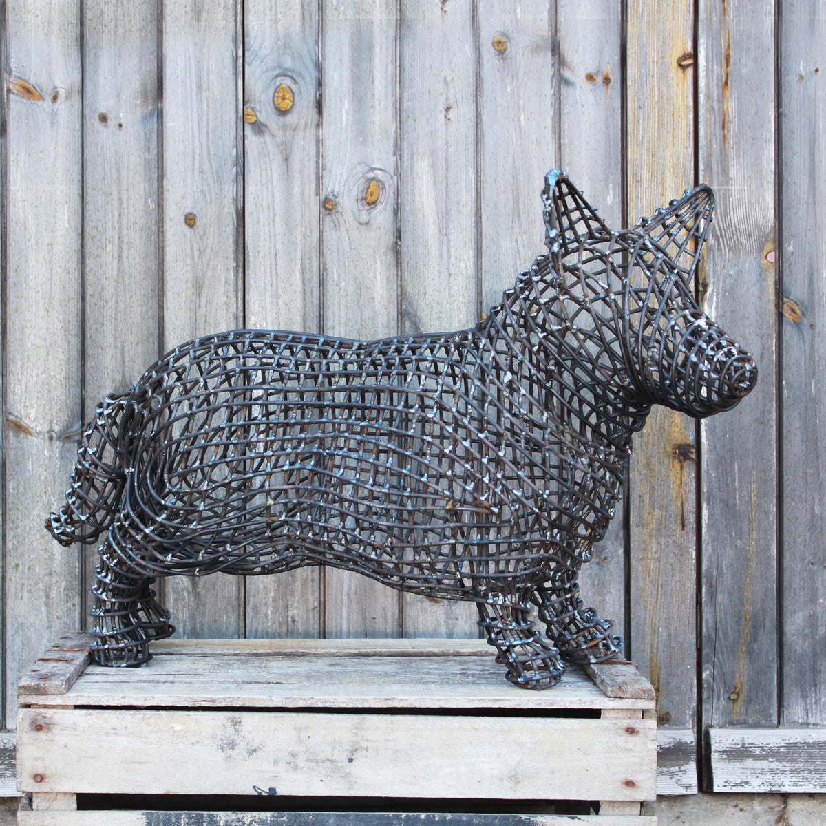 Metal Corgi Sculpture by Luigi Frosini – Top Topiary