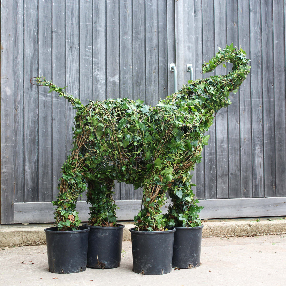 Elephant Baby Topiary Sculpture - Ivy – Top Topiary