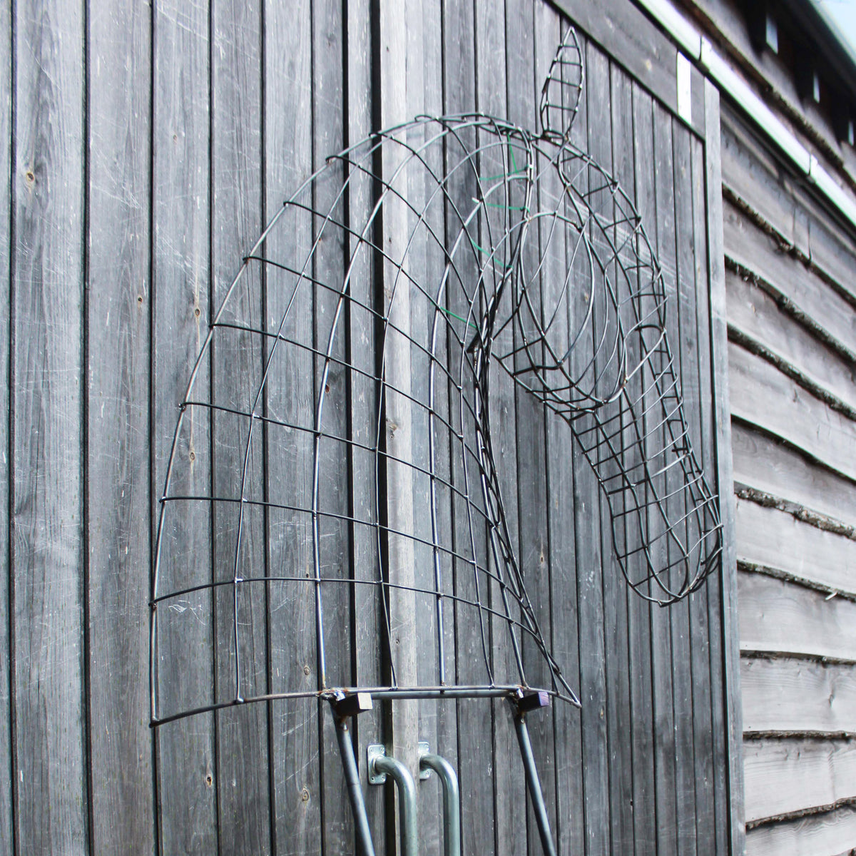 Horse Head Topiary Frame – Top Topiary