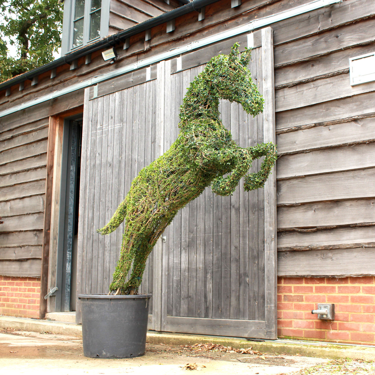 Topiary Jumping Horse - 190cm tall – Top Topiary