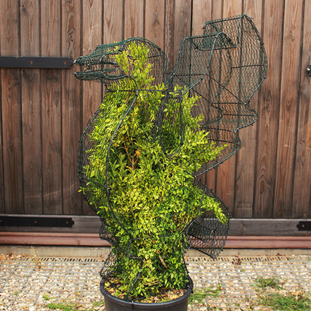 Cormorant Bird Topiary Sculpture – Top Topiary