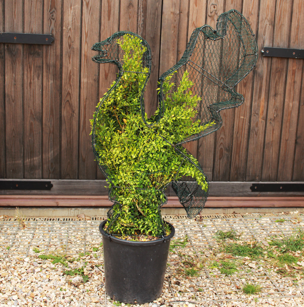 Cormorant Bird Topiary Sculpture – Top Topiary